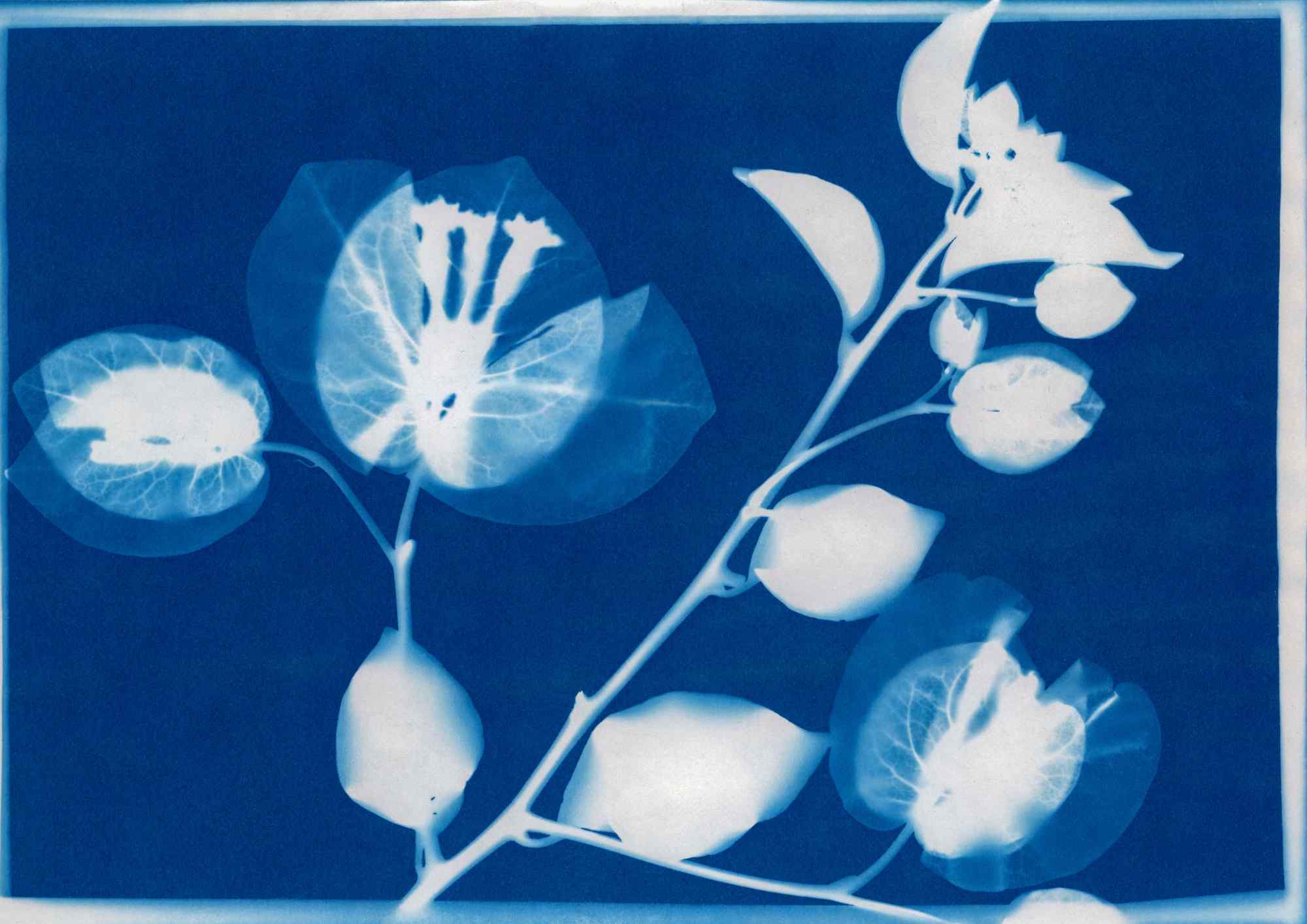 Art Workshops | Jeffreys Bay | Art Muse Collective